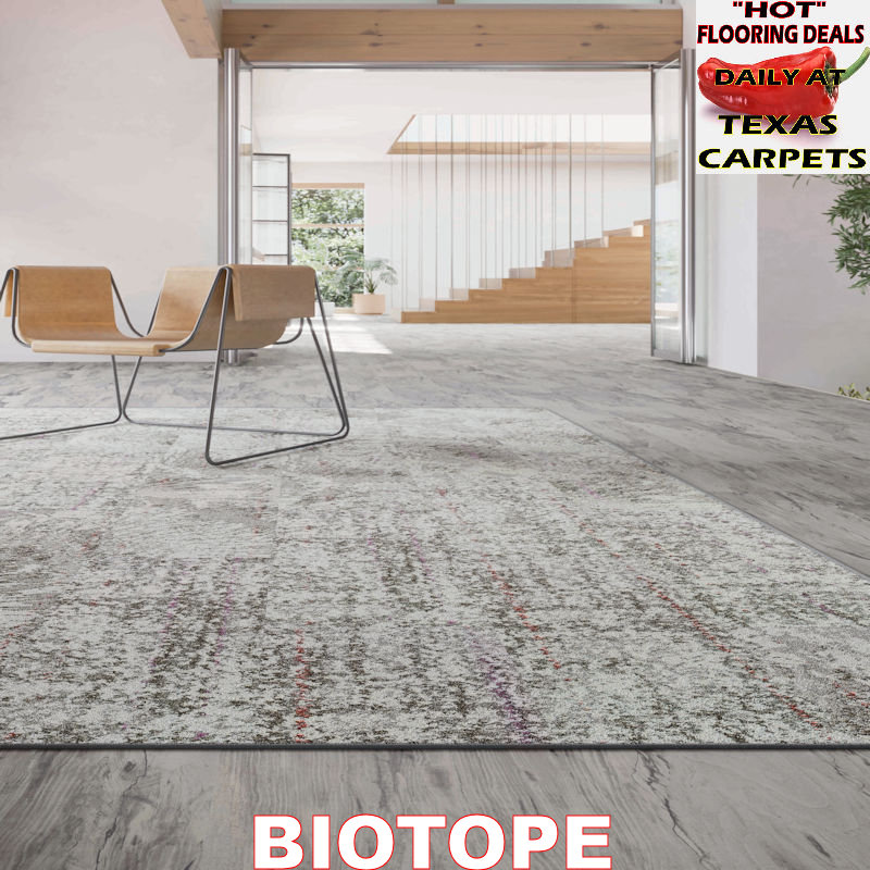 Biotope | Mohawk
